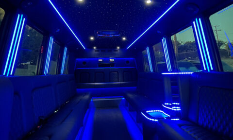 Our Limousine Fleet in Riverside County CA - Vanity Limousine Inc